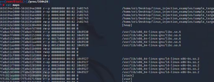 红队实战 | linux 进程注入详解和实例 - 4A评测